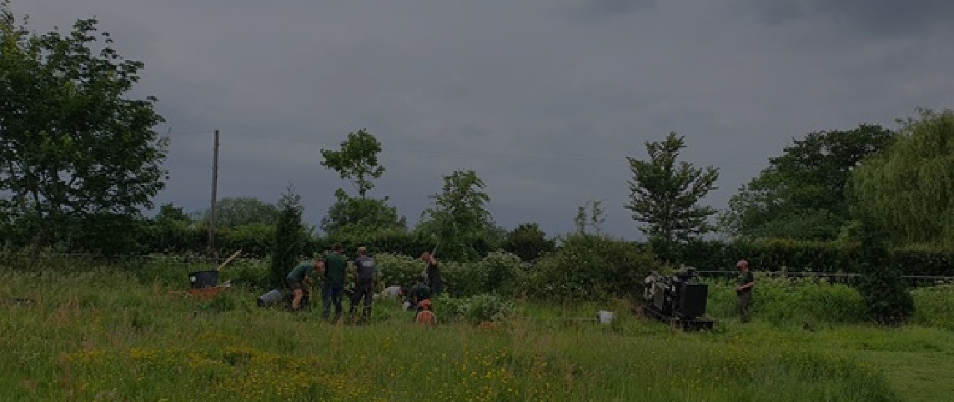 Tree Planting - Redwood Tree Services