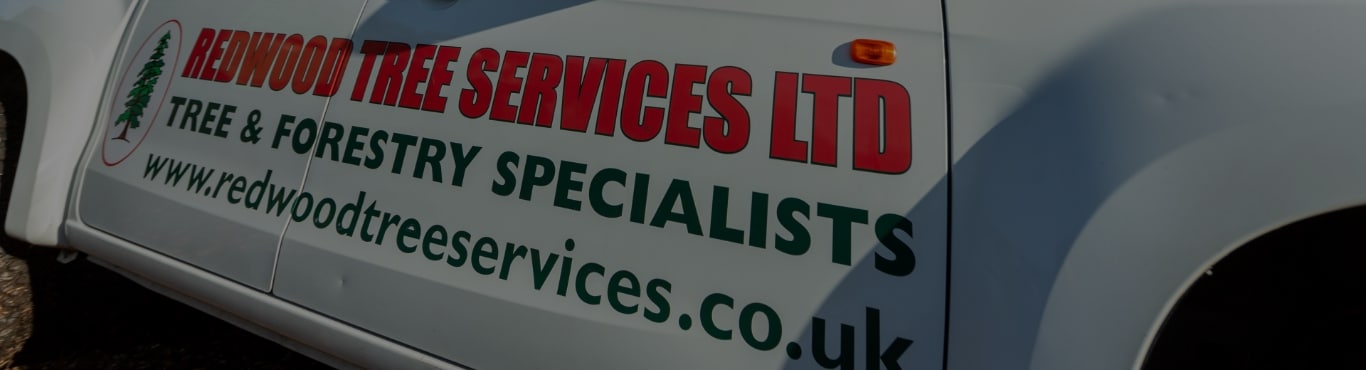 Contact Us - Redwood Tree Services