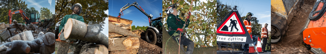 Home - Redwood Tree Services