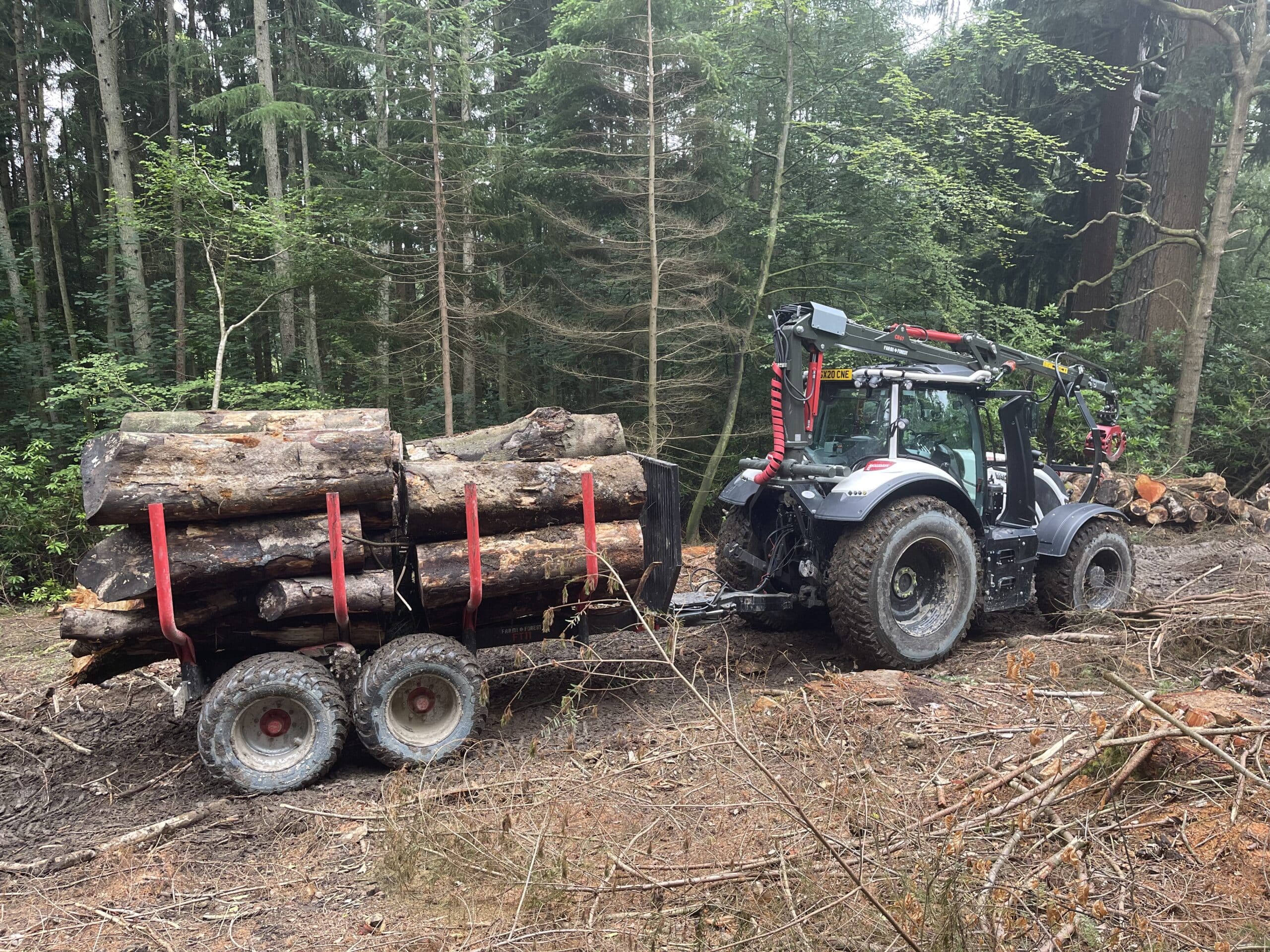 Forestry and Estate Management - Redwood Tree Services